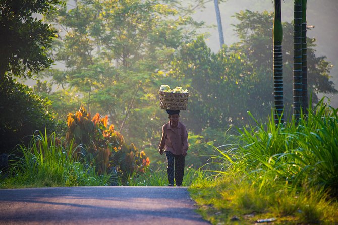Bali Half Day Photography Tour - The Value for Money