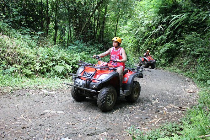Bali : Half Day Quad Bike Tour with Lunch - The Guides: Knowledgeable and Friendly