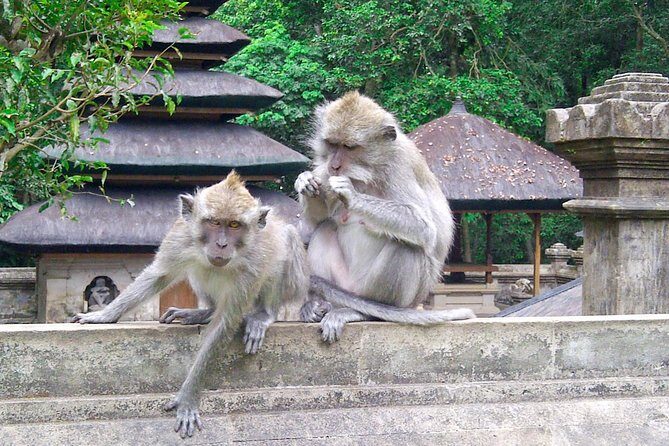 Bali Half-Day TANAH LOT SUNSET, Taman Ayun Temple with Dinner - Exploring Balis Cultural and Sunset Gems: A Detailed Look at the Half-Day Tanah Lot Tour