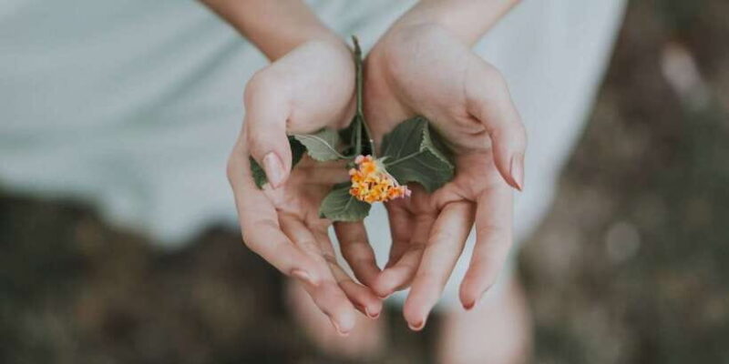 Bali: Healing and Aura Cleansing Tour with Yoga & Meditation - Final Thoughts: Who Will Love This Tour?