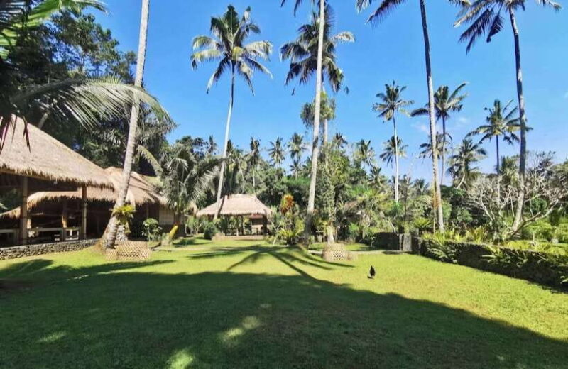 Bali: Heritage & Nature Escape Private Tour (All-Inclusive) - The Sum Up