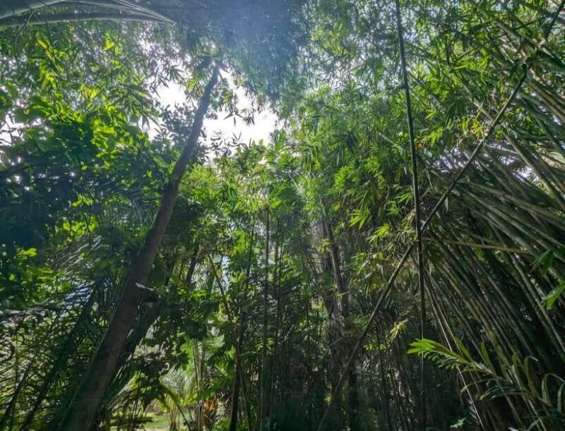 Bali: Heritage & Nature Escape Private Tour (All-Inclusive) - FAQ