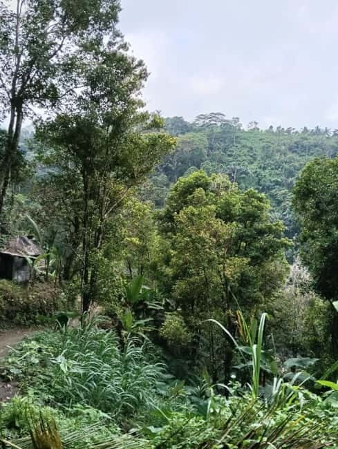 Bali: Hidden Waterfall Hike and Blue Lagoon Snorkeling - Value and Practical Considerations