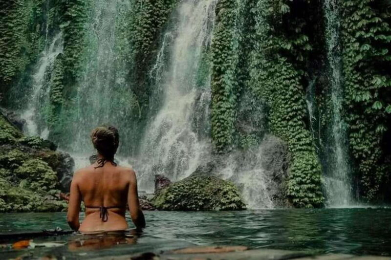Bali: Hidden Waterfalls Private Tour (All-Inclusive) - Who Should Consider This Tour?