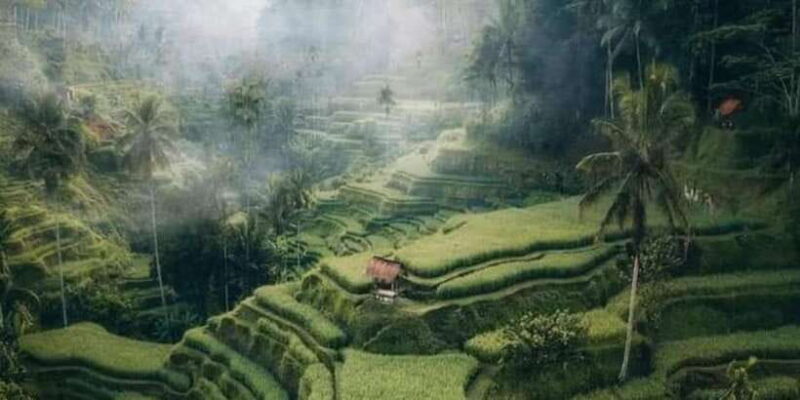 Bali : Highlight of Ubud Culture, Temple and Batur Volcano - Final Thoughts on Value and Suitability