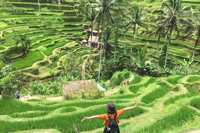 Bali Highlight Private Packages Tours 3 Days - Practical Details & Value