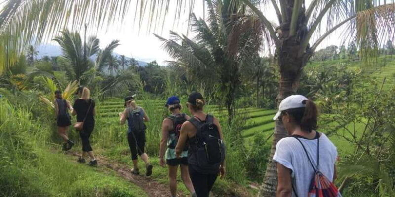 Bali: Hill Side Lemukih Treeking with Amazing view - What Makes This Trek Stand Out?