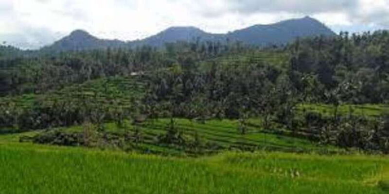 Bali: Hill Side Lemukih Treeking with Amazing view - The Sum Up: Is This Tour For You?