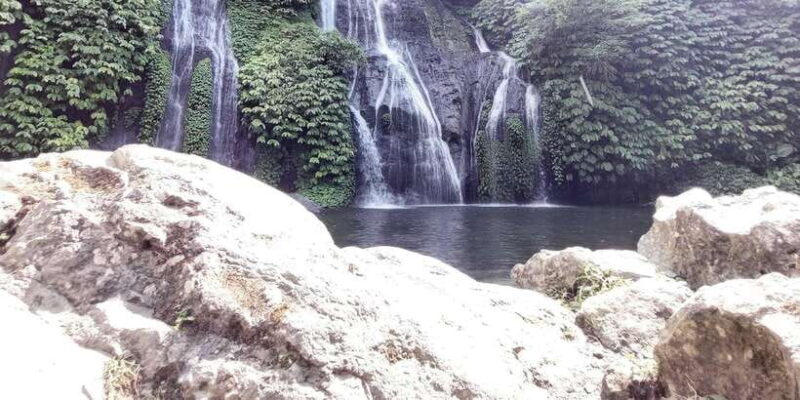 Bali: Hire Private Tour with English speaking - The Sum Up