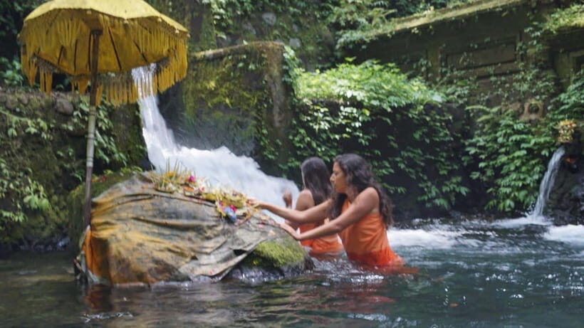 Bali: Holy Water Purification and Palm Reading Tour - Practical Considerations