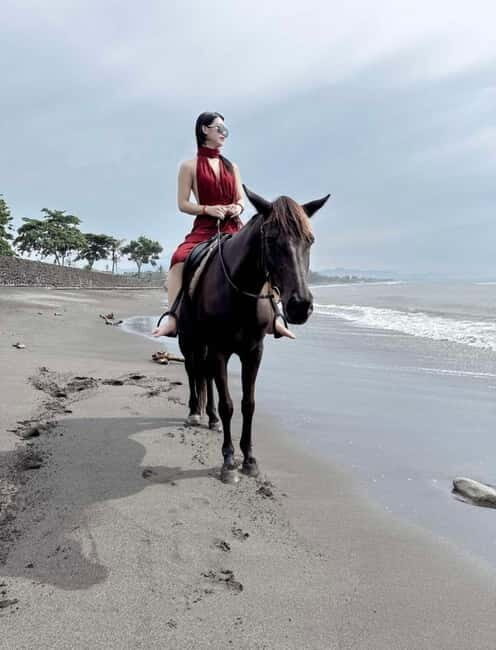 Bali Horse ride at Saba beach Horse tour - The Tour Itself: What to Expect at Saba Beach Horse Ride