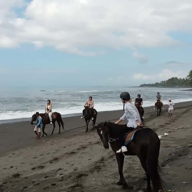 Bali Horse ride at Saba beach Horse tour - The Sum Up: Is It Worth It?