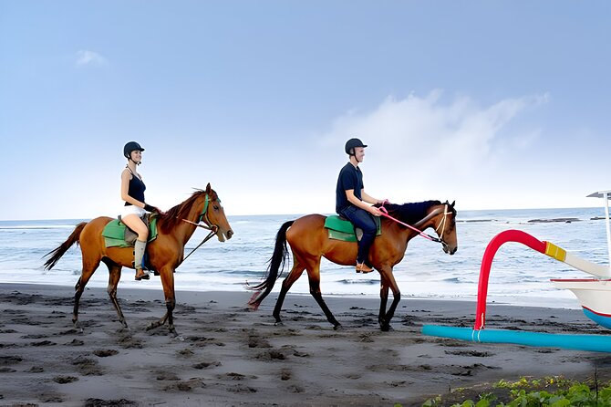 Bali Horse Riding and ATV Ride Packages : Best Quad Bike Trip - Who Will Love This Tour?