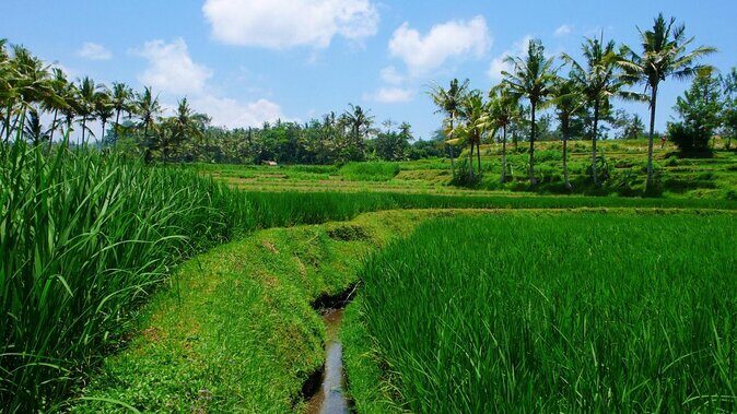 Bali Horse Riding and Quad Bike Adventure Tours - Key Points