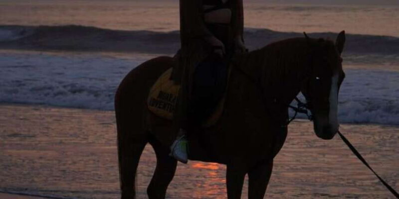 Bali: Horse Riding Beach Experience with Optional Transport - Key Points