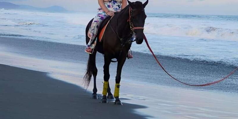 Bali: Horse Riding Beach Experience with Optional Transport - Who Will Love This Tour?
