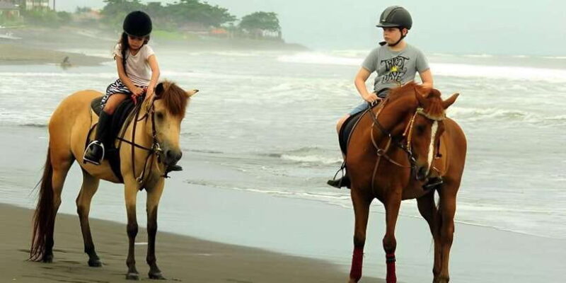 Bali: Horse Riding Beach Experience with Optional Transport - The Sum Up