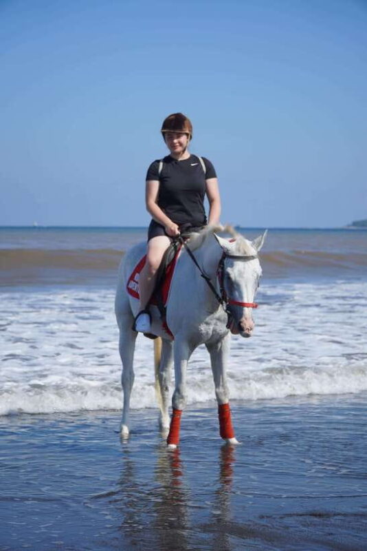 Bali: Horse Riding Experience in Sanur (1 Hour ride) - The Sunrise Ride: A Visual Feast