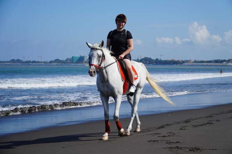 Bali: Horse Riding Experience in Sanur (1 Hour ride) - Important Safety and Accessibility Info