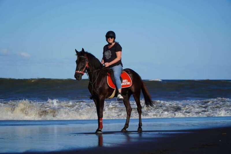 Bali: Horse Riding Experience in Sanur (1 Hour ride) - Who Is This Tour Best For?