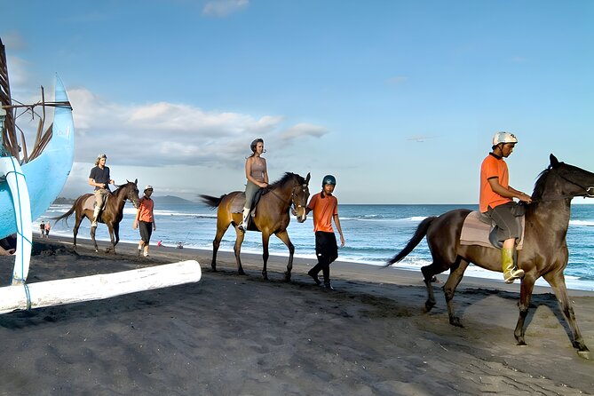 Bali Horse Riding in Saba Bay for 1 Hour with Pick Up Service - The Itinerary: What to Expect