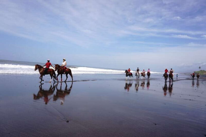 Bali: Horse Riding on Pigstone Beach and in the Rice Fields - Key Points