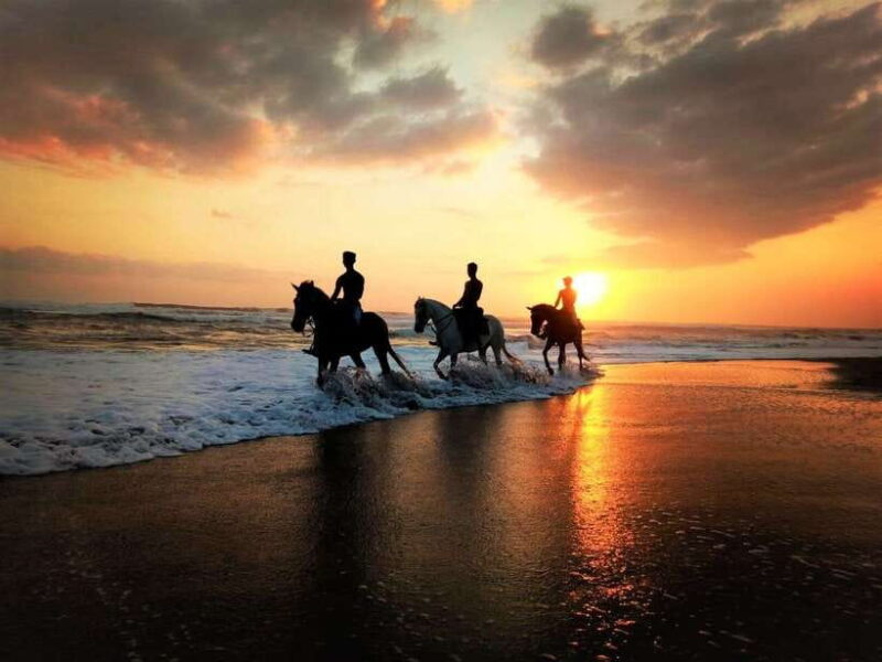 Bali: Horse Riding on Pigstone Beach and in the Rice Fields - Final Thoughts