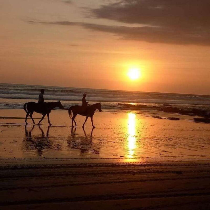 Bali: Horse Riding on the Beach and Rice field Tour - Key Points