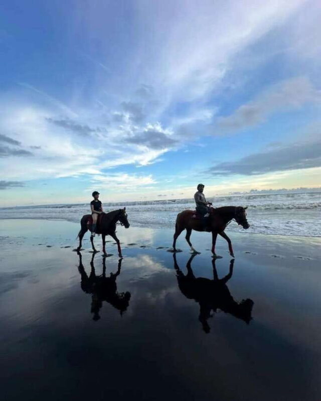 Bali: Horse Riding on the Beach and Rice field Tour - Final Thoughts: Who Will Love This Tour?