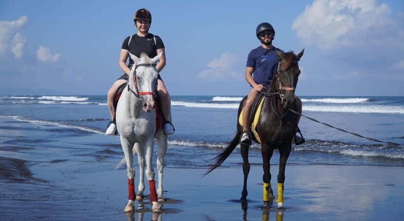 Bali: Horse Riding on the beach experience with free shuttle - Key Points