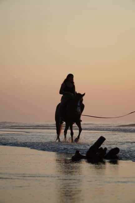Bali: Horse Riding Sanur Beach Experience with Transport - Overview of the Bali Horse Riding Experience