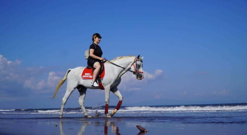 Bali: Horse Riding Trot And Canter On The Beach Experience - Authentic Experiences and Traveler Feedback