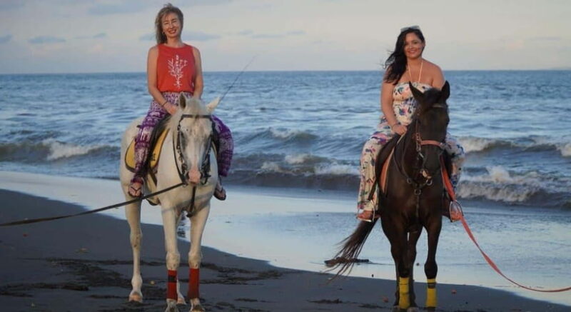 Bali: Horse Riding Trot And Canter On The Beach Experience - FAQ Section
