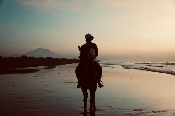 Bali Horse Riding Trot & Canter Sanur Beach include Transport - A Closer Look at the Bali Horse Riding Experience