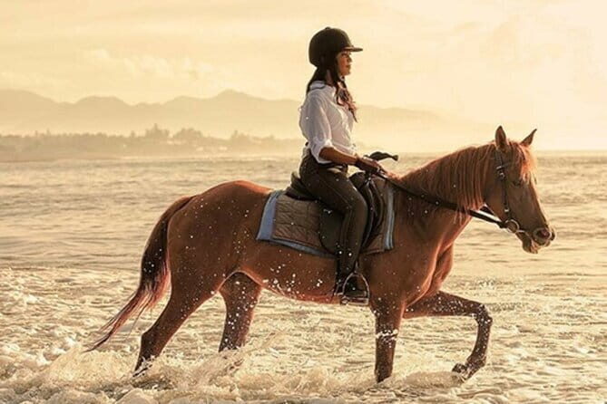 Bali Horse Riding + Waterfall + Rice Terrace + Lunch - Key Points