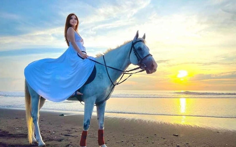 Bali: Horseback Riding Experience - Key Points