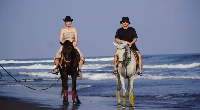 Bali: Horseback Riding Tour with Hotel Transfer - Who Will Enjoy This Tour?