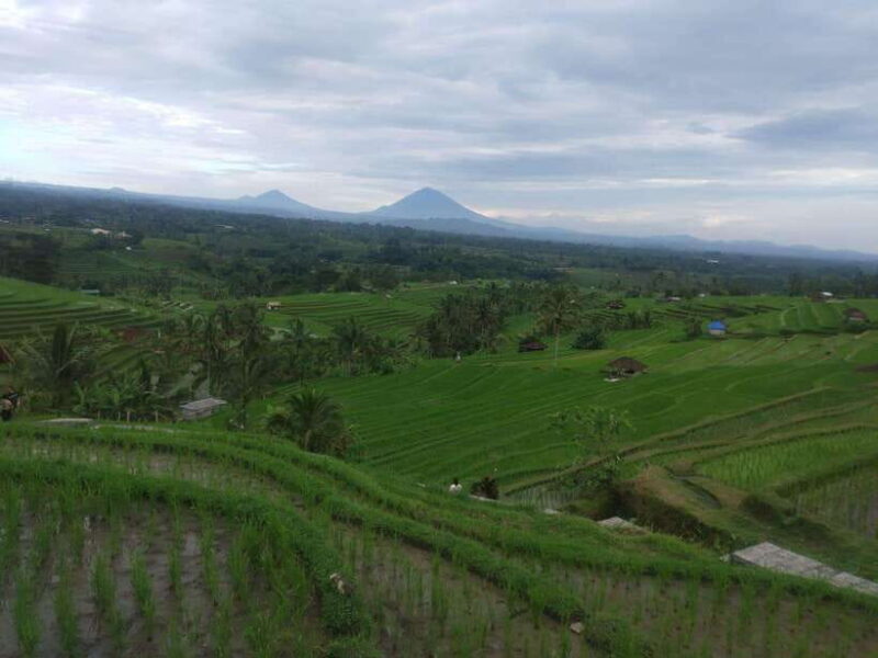 Bali in 1 Day : Iconic temples -UNESCO Sight - All inclusive - Final Thoughts