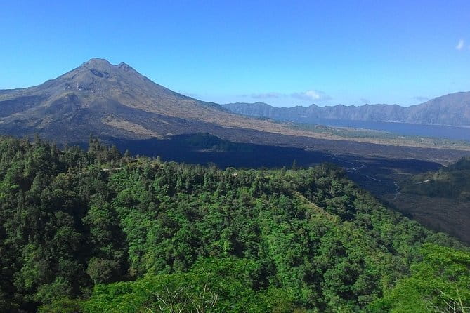 Bali in 1-Day : Rice Terrace, Volcano, Tanah lot - All Inclusive - Frequently Asked Questions (FAQs)