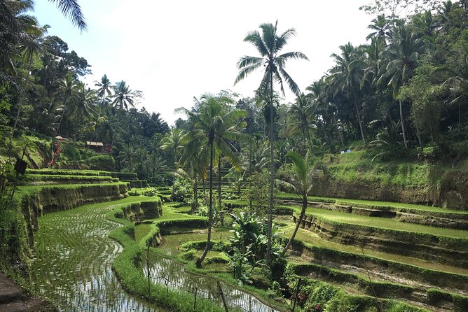Bali Individual Route With Private English Speaking Driver - What Makes This Tour Stand Out?