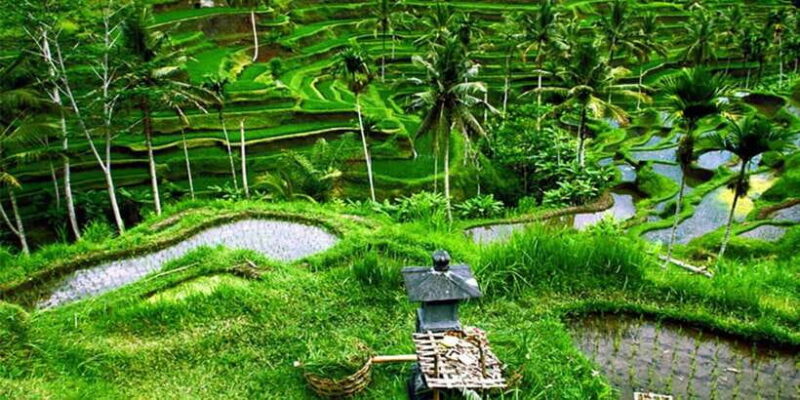 Bali Instagenic Tour - Key Points