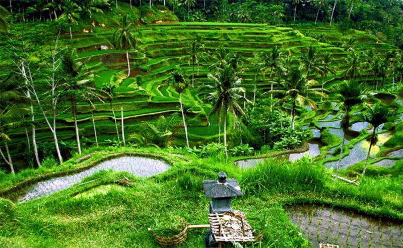 Bali Instagenic Tour - FAQs