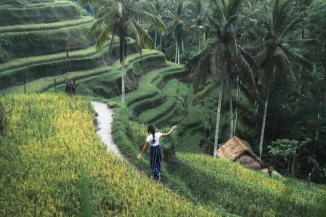 Bali Instagram Tour from Your Hotel (Private & Full-day) - Pricing and Value