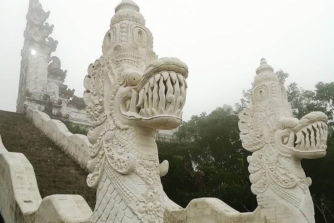 Bali Instagram Tour from Your Hotel (Private & Full-day) - Who Is This Tour Best For?