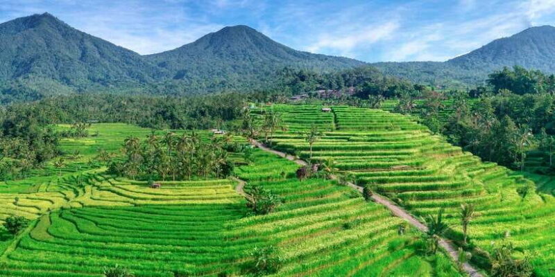 Bali: Jatiluwih Full-Day E-Bike and Trekking Tour - Key Points