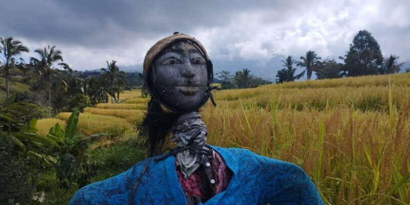 Bali: Jatiluwih Full-Day E-Bike and Trekking Tour - Authenticity and Value