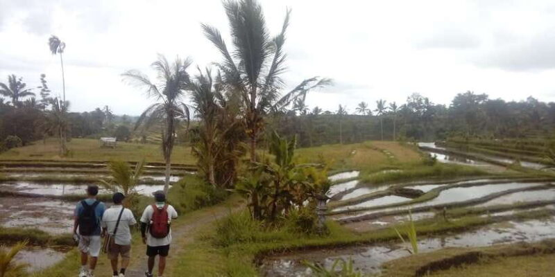 Bali: Jatiluwih Full-Day E-Bike and Trekking Tour - Final Thoughts