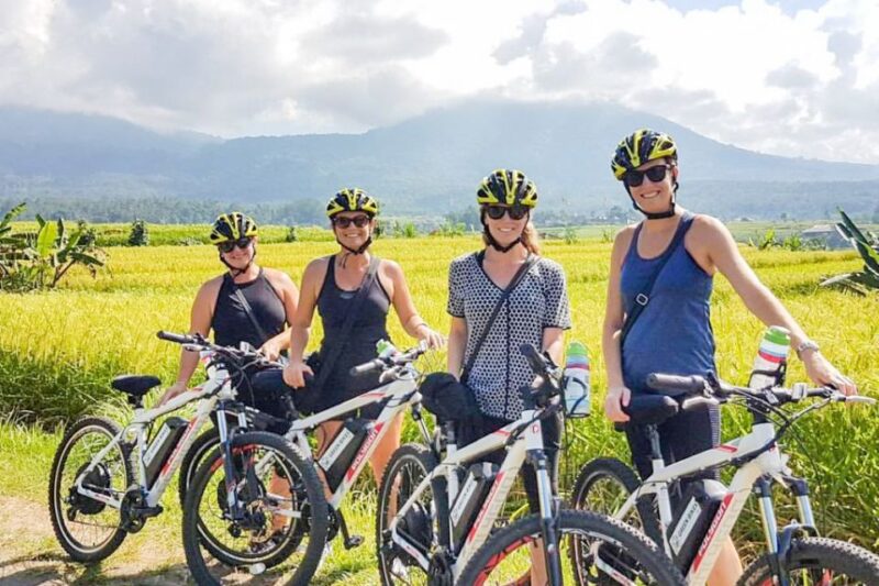 Bali: Jatiluwih Rice Terraces 1 Hour Electric Bike Tour - Key Points