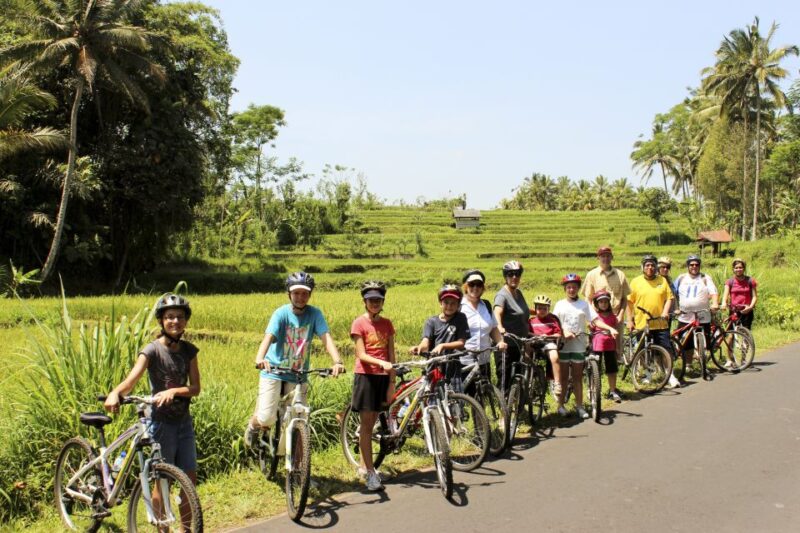 Bali: Jatiluwih Rice Terraces 1 Hour Electric Bike Tour - Authentic Insights from Fellow Travelers