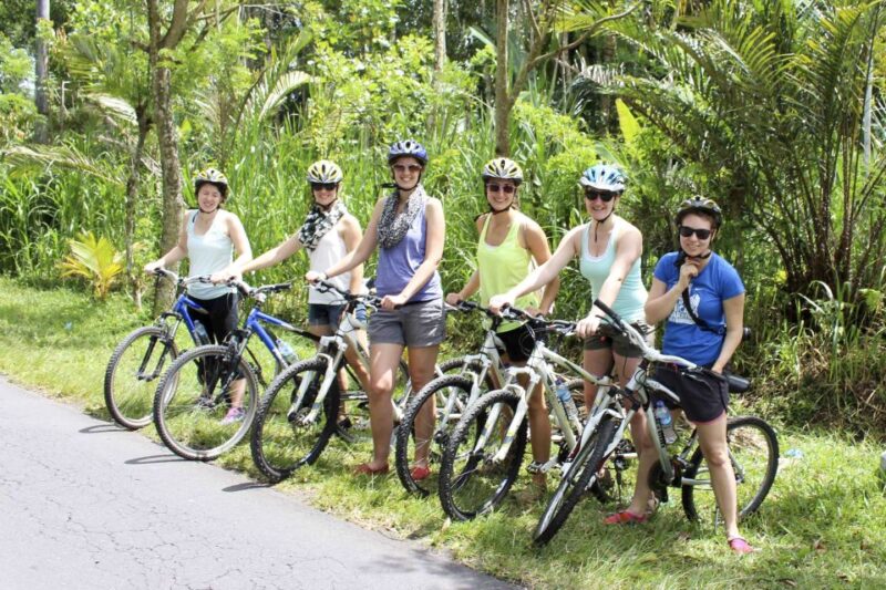 Bali: Jatiluwih Rice Terraces 1 Hour Electric Bike Tour - Practical Details and Considerations